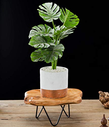 TJ Global Natural Edge Wooden Stand with Hairpin Legs for Displaying Cakes, Plants, Candles, Decor (L9 x W8.5 x H4)