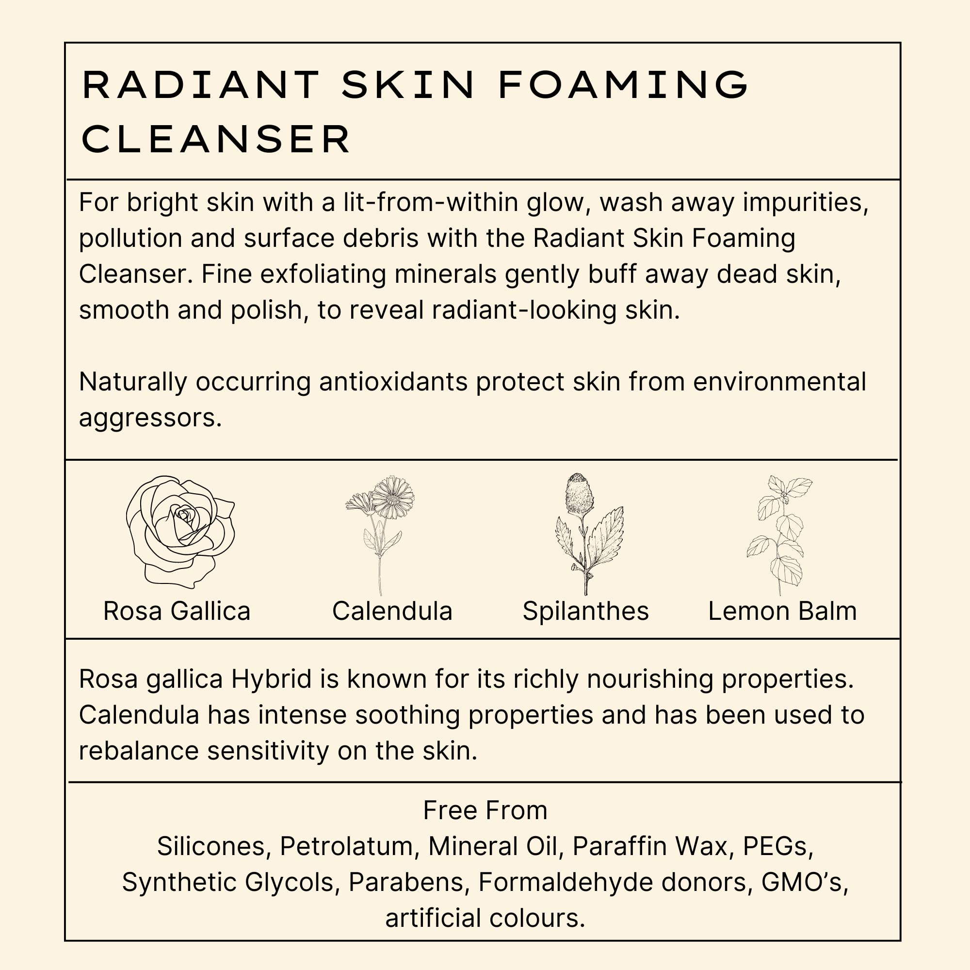Jurlique Radiant Skin Foaming Facial Cleanser , 2.8 Oz (Pack of 1)