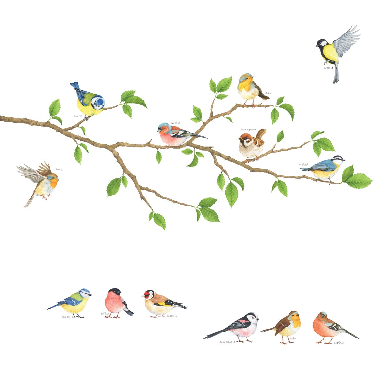 DECOWALL DWL-1804N Garden Birds on Tree Branch Kids Wall Stickers Wall Decals Peel and Stick Removable Wall Stickers for Kids Nursery Bedroom Living Room décor