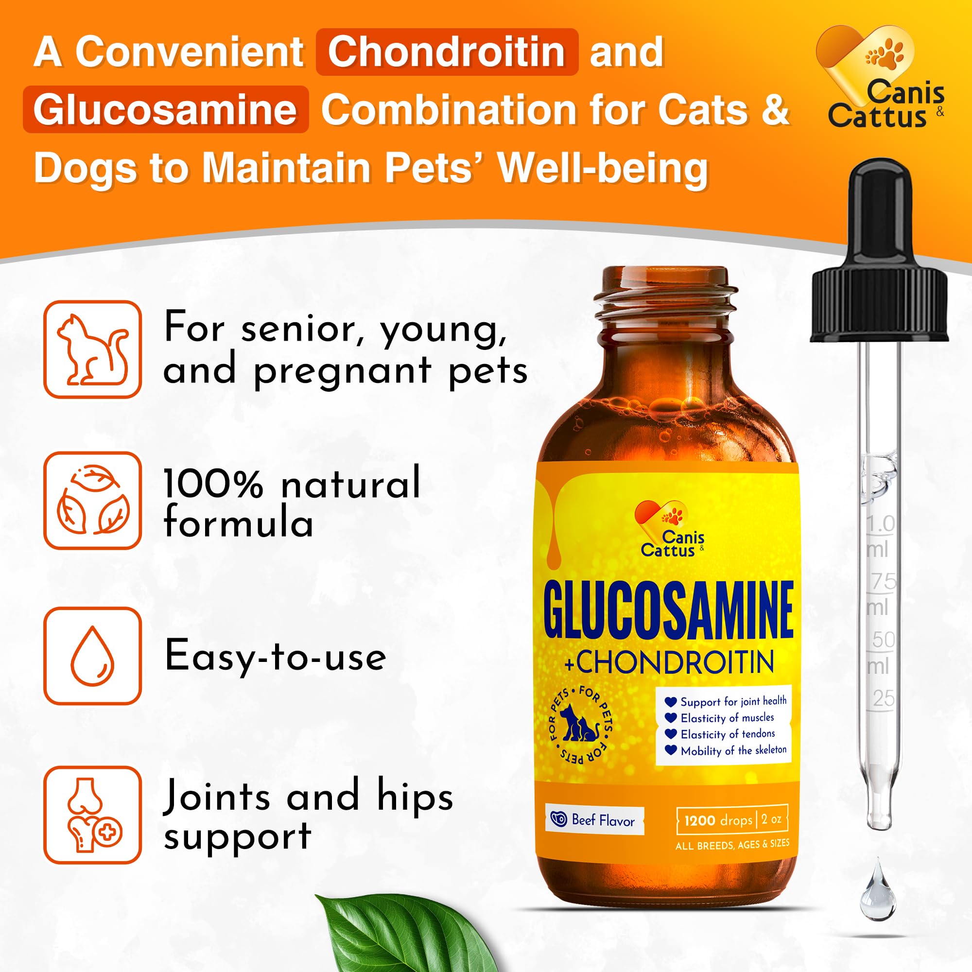 Liquid Glucosamine for Dogs & Cats 3 Pack x 2 Oz | Hip and Joint Supplement for Dogs in a Liquid Form | Cat Joint Supplement and Dog Joint Liquid Supplement | Convenient Pack of 3 Items 2 Oz Each