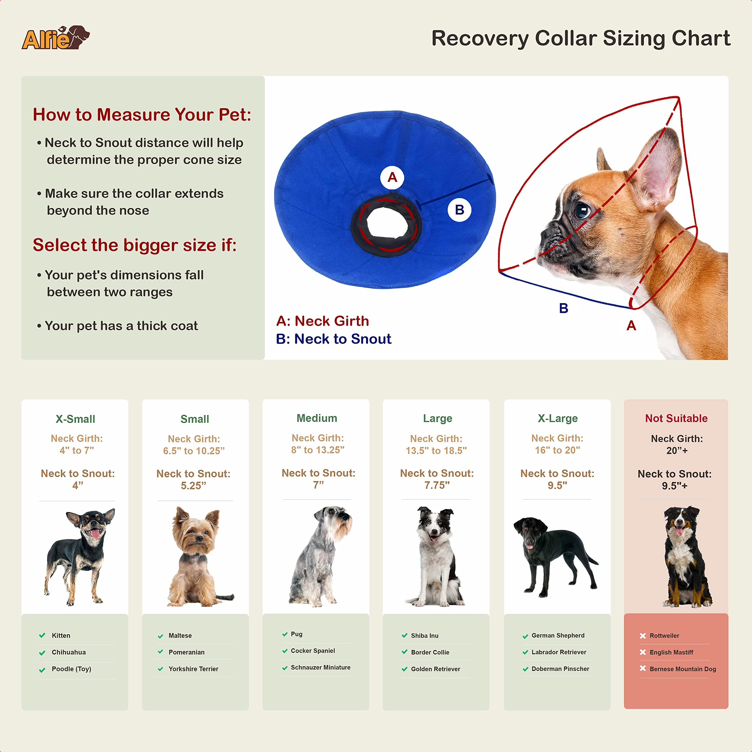 Alfie Pet - Cobalt Recovery Collar (for Dogs & Cats) - Color: Blue, Size: L