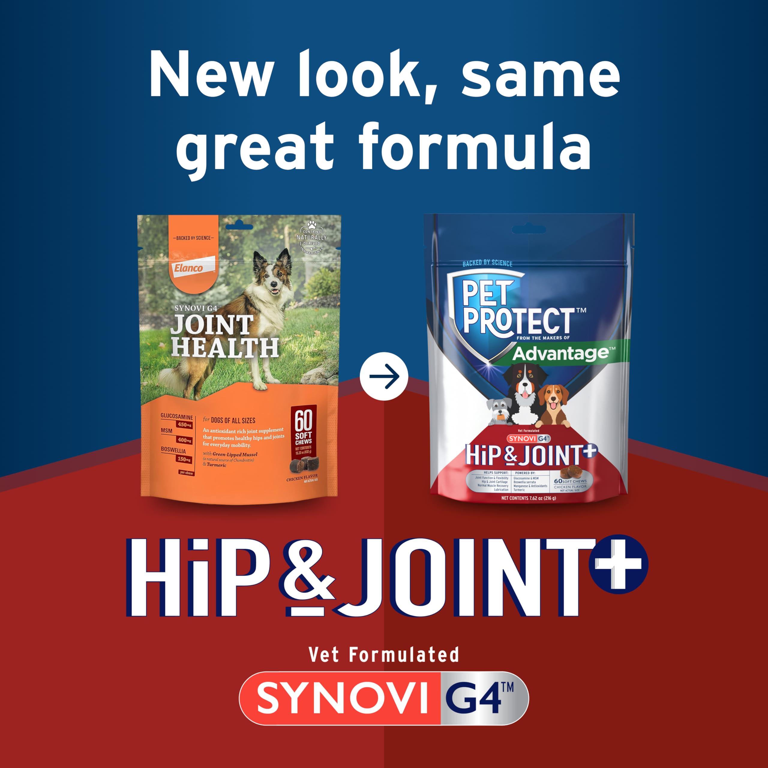Pet Protect from The Makers of Advantage Vet-Formulated Hip & Joint+ Supplement for Dogs | 60 Chews