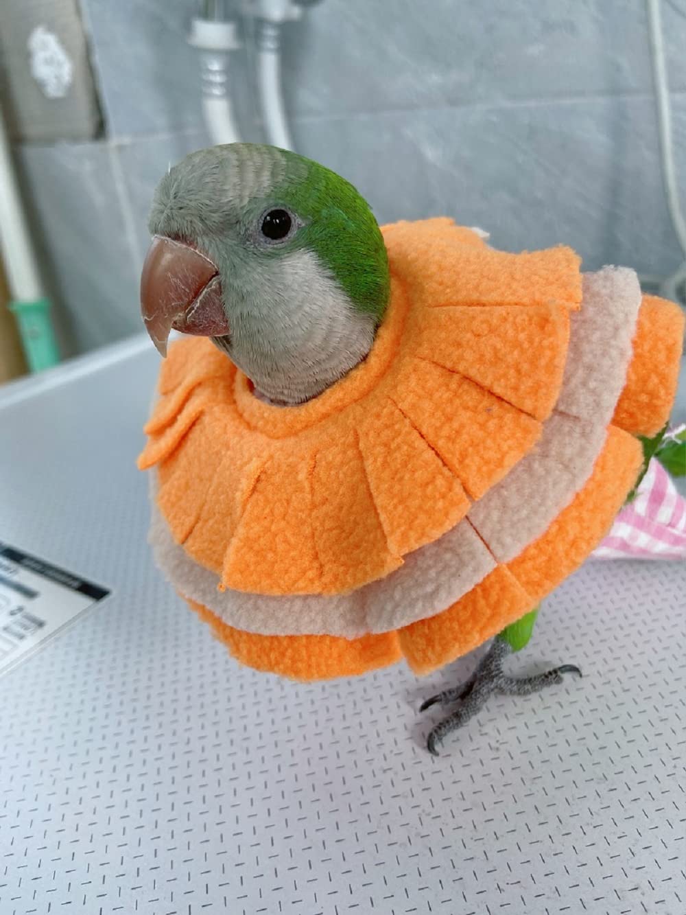 Adjustable Parrot Cone Collar, Safe and Practical Cotton Collar to Prevent Bites and Licking Wounds, to Help heal (4XL)