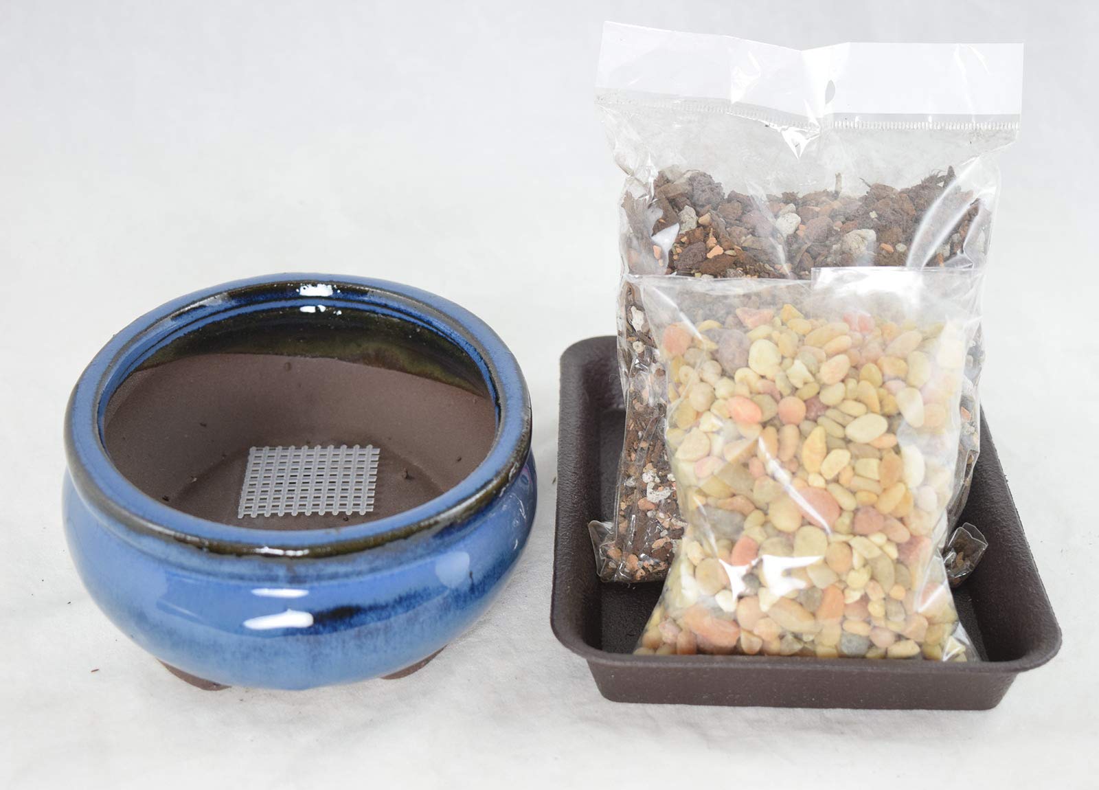 6" Oval Dark Blue Glazed Bonsai/Succulent Pot + Soil + Tray + Rock + Mesh Kit