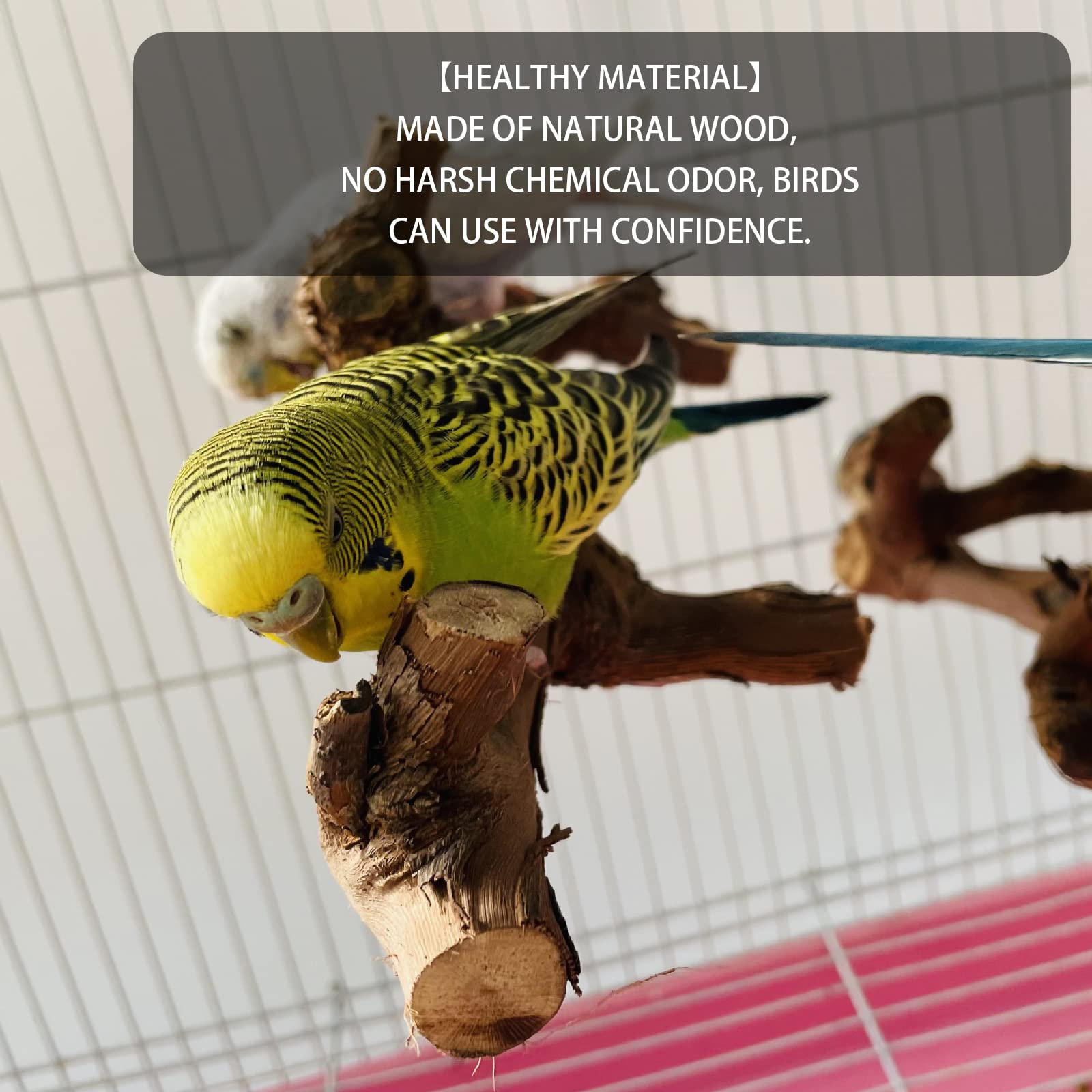 5PCS Bird Perch Stand Natural Wooden Parrot Stand Branch, 3 Grape Wood Perch, 2 Stand, Paw Grinding Fork Parakeet Chewing Stick Exercise Training Branches for Cockatiels, Small Birds
