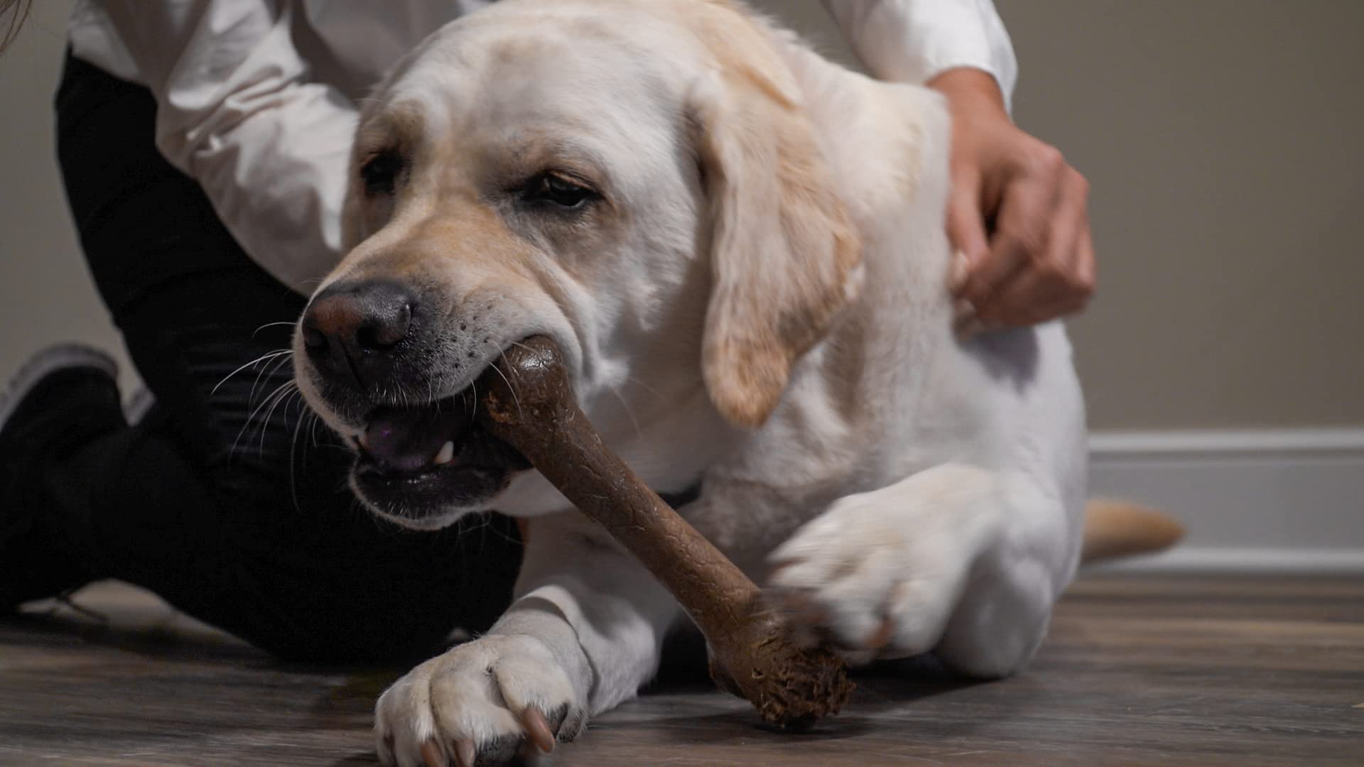 HERO | Bonetics | Dog Bones | Puppy Bones | Designed for Large Dogs Up to 65 lbs (Beef Flavor)
