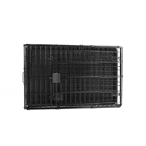 Amazon Basics Durable,Foldable Metal Wire Dog Crate with Tray, Double Door, 30 Inches, Black