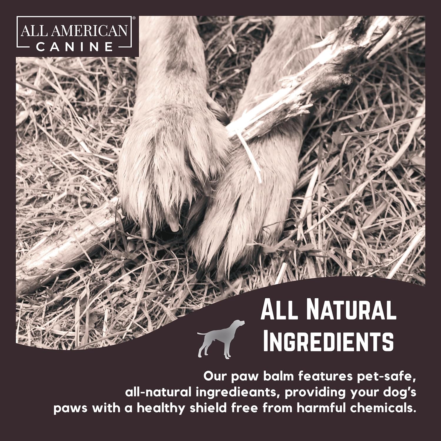 All American Canine Soothing Paw Balm with Natural Ingredients for Dog Paw Protection and Nourishment | Suitable for Active, Working, and Sporting Dogs, 4 oz