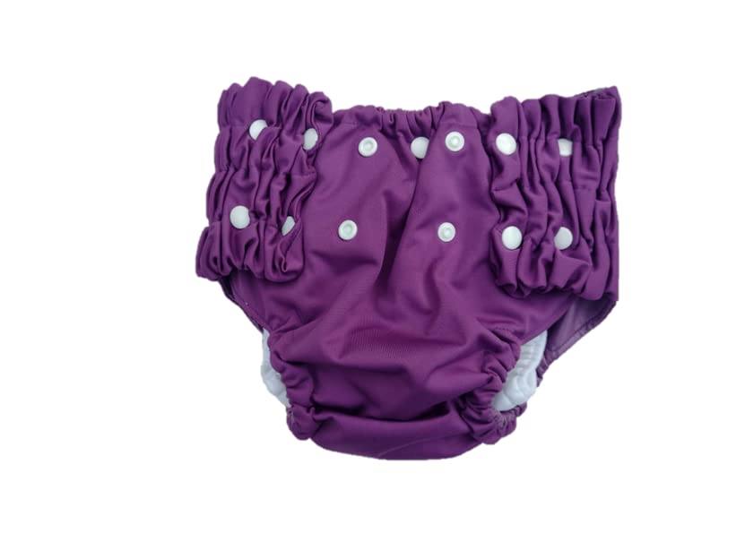 Night Time Washable Cloth Pull Up Diapers for Toddlers and Preschoolers, Ages 2 Years to 6 Years (Purple Small)