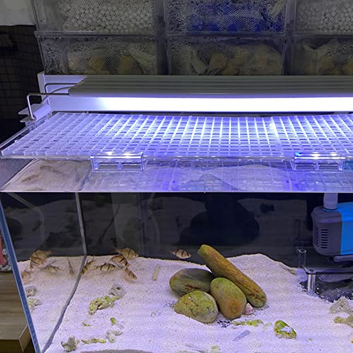 Alfie Pet - Alwina 4-Piece Set Fish Tank Anti-Jumping Net Cover - Color: Clear