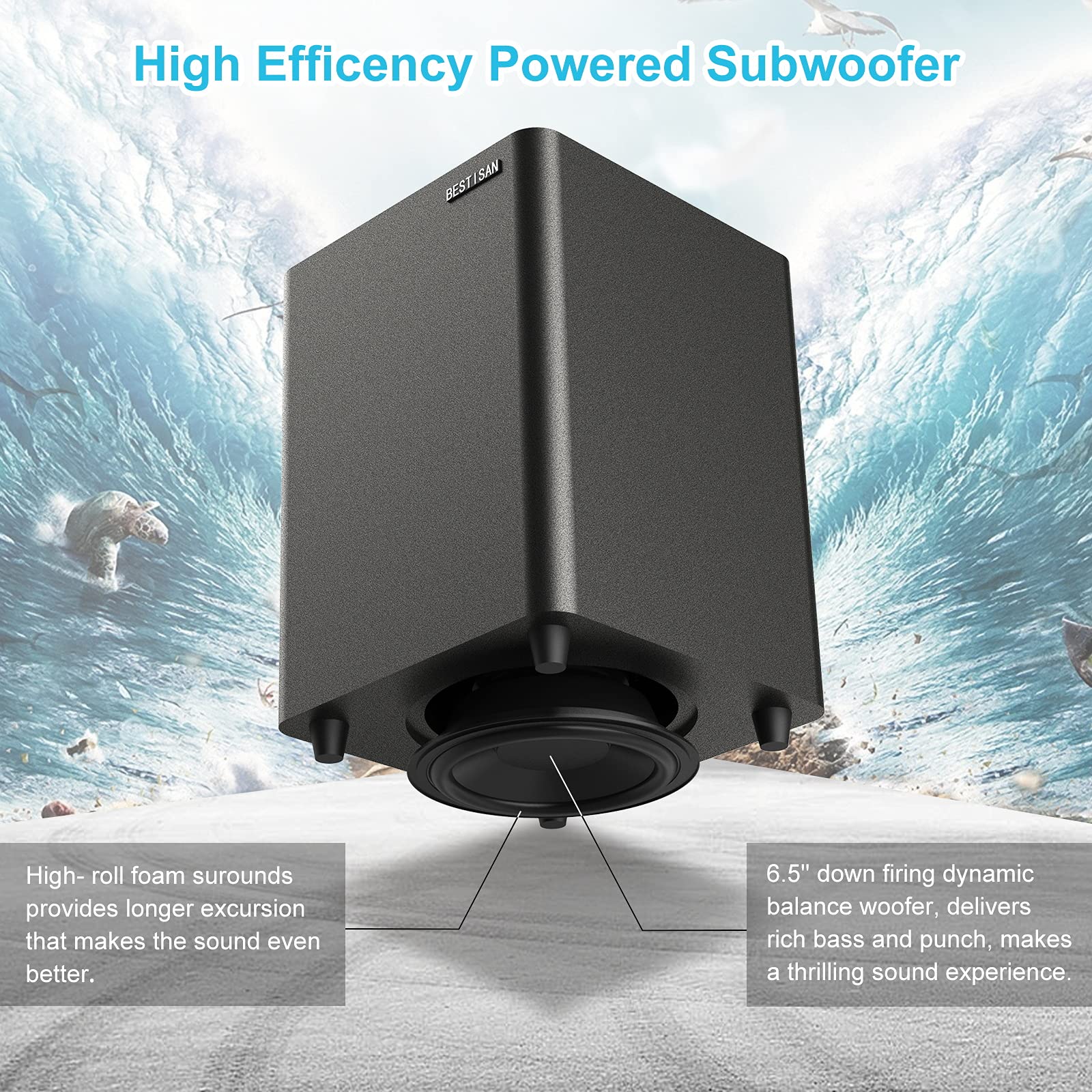 BESTISAN Powered Subwoofer, Deep Bass Subwoofer, Down Firing Sub in Compact Size, Easy Setup with Home Theater System, TV, Receiver, Speakers Coaxial Cable Included, Black
