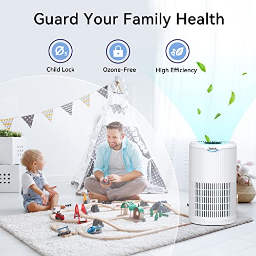 Air Purifiers for Home Large Room Up to 1345 Ft², Tailulu H13 True HEPA Air Filter Purify Smoke Pollen Pet Dander Dust Smell for Bedroom, Kitchen, Air Cleaner with Replacement Filter