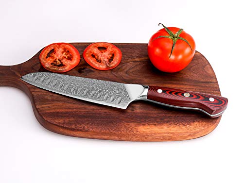 WELLSTAR Santoku Knife, Damascus Steel Kitchen Knife 7 Inch, Japanese AUS10 High Carbon Steel 67-Layer Blade Full Tang with Ergonomic G10 Handle, Razor Sharp Chefs' Knife - Gift Box