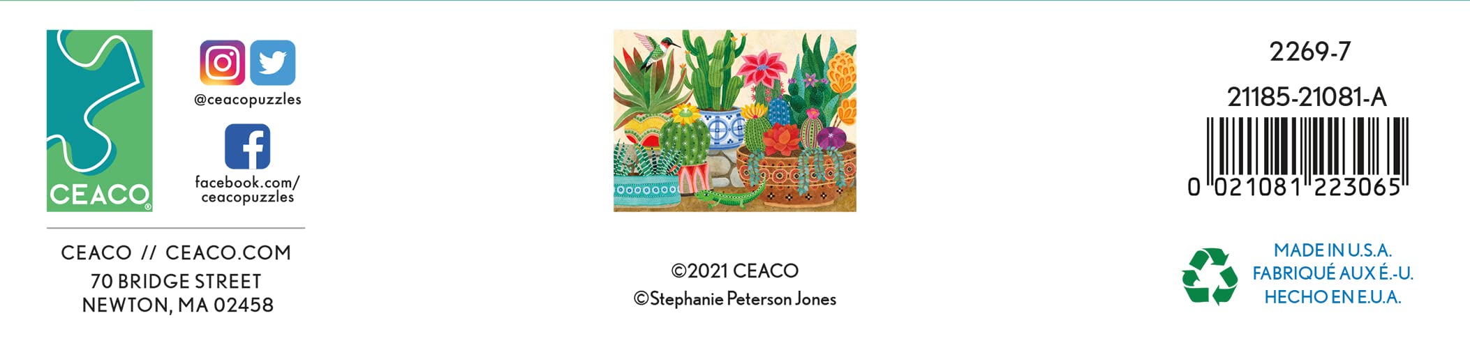 Ceaco - Succulents Collection - Stephanie's Succulents - 300 Piece Oversized Jigsaw Puzzle