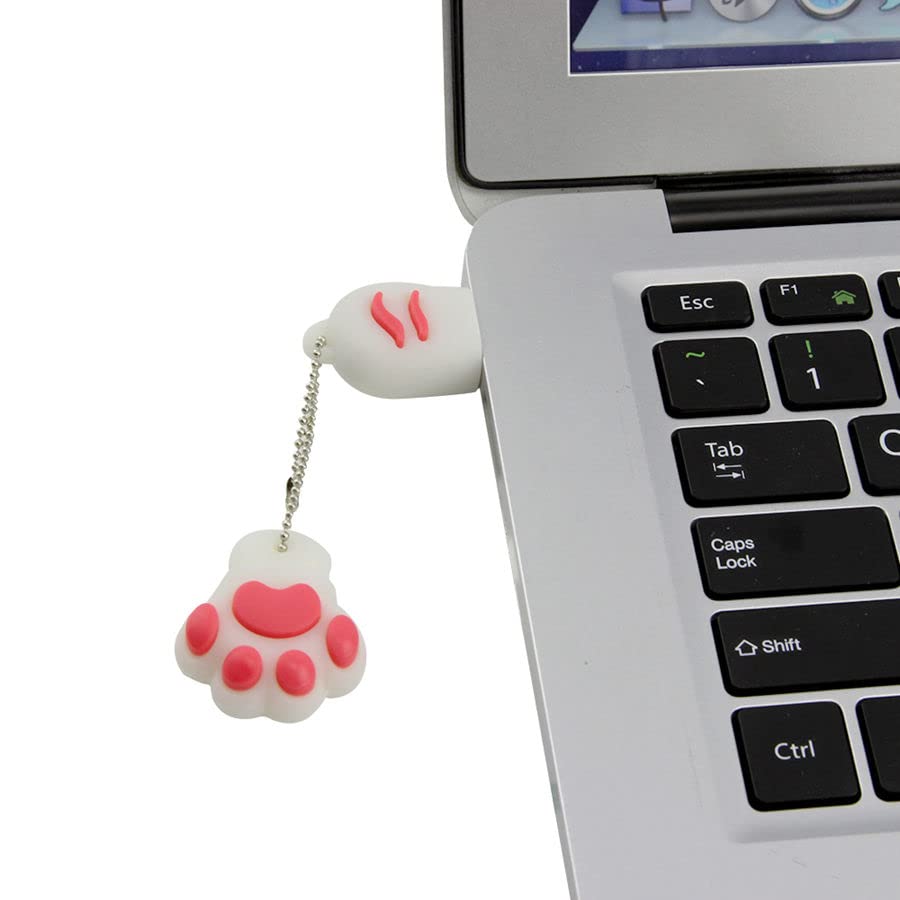 64GB USB 2.0 Flash Drive, Extra Large Storage Space for Storage and Backup, Portable USB Memory Stick,Cute Cat Paw Flash Drive, Portable Drive for PC/Laptop/Mac