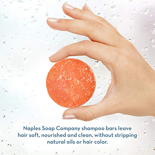 Naples Soap Company Solid Shampoo Bar for All Hair Types – Eco-Friendly, Free of Parabens, Alcohol, Pthalates – Handmade, pH Balanced, Hydrating Haircare, Lasts 50-75 Uses – Florida Fresh, 1.75 oz