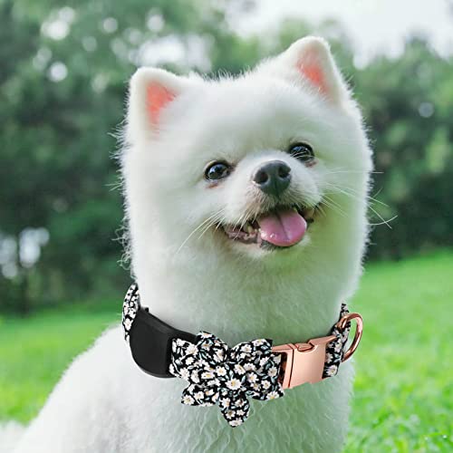 Airtag Dog Collar Holder,Anti-Lost Silicone Case Accessories for Air Tag GPS Tracking,Compatible with Dogs Cats Pets Collar (1 Pack, Black)