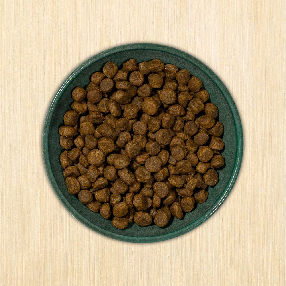 Annamaet Grain-Free Re-Juvenate Senior Formula Dry Dog Food, (Fresh Silver Carp & Turkey), 5-lb Bag, Brown