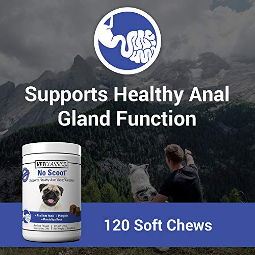Vet Classics No Scoot Dog Supplements for Healthy Anal Gland Function β Support Normal Bowel Functions, Anal Glands β Increases Daily Fiber Intake for Dogs β 120 Soft Chews