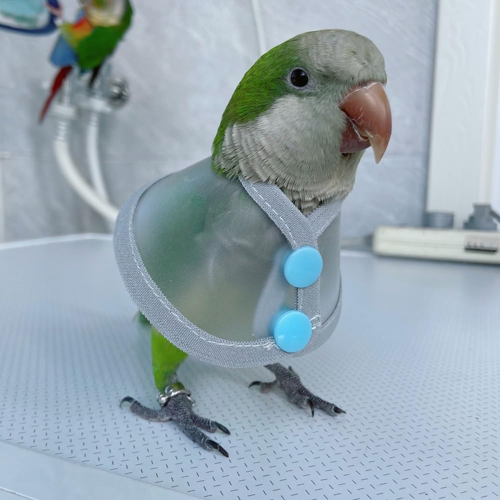 Adjustable Parrot Cone Collar, Safe and Practical Cotton Collar to Prevent Bites and Licking Wounds, to Help heal (2M)