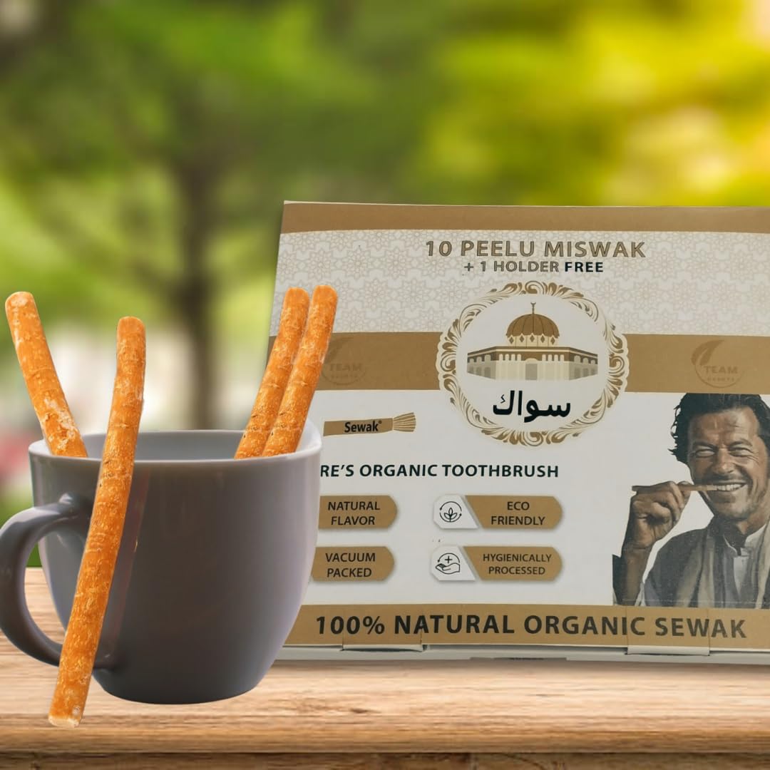 Miswak Sticks for Teeth Natural Herbal Toothbrush with Holder by SEWAK (10 Tooth Stick + 1 Holder)
