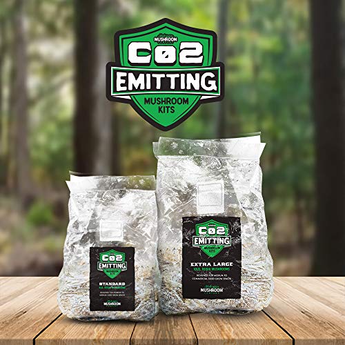 CO2 Emitting Reishi Mushroom Kits - Carbon Dioxide Booster Bag (Standard) - PRE-Activated