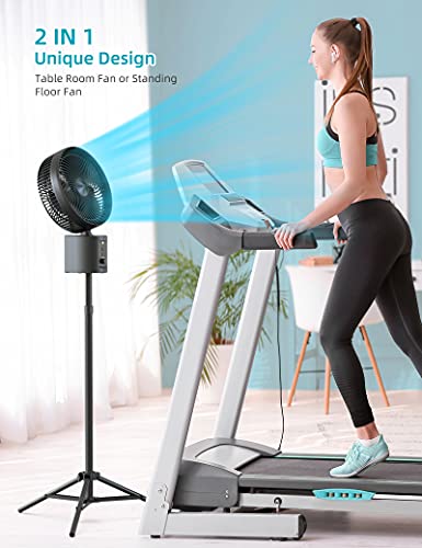 Airbition 10" Portable Pedestal Fan, 10000mAh Rechargeable Table Fan with 7 Speeds, Oscillating Standing Fan with Timer for Bedroom, Office, Camping
