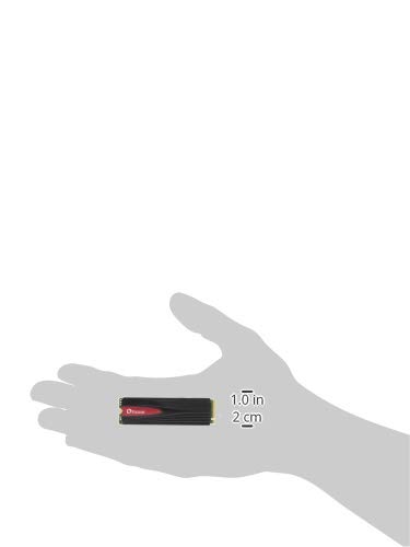 Plextor m9peg Series NVMe Connection M. 2 2280 Internal SSD GB with Heat Sink Model 256 Inches PX-256M9PEG