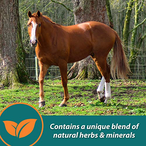 Farnam Cough Free Horse Cough Supplement Pellets, Provides Respiratory Support for Horses with Seasonal Allergies or Stable Cough, 2.5 pounds, 70 Day Supply