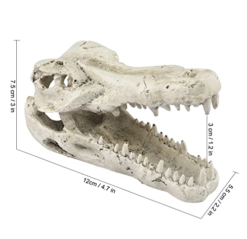 Alligator Reptile Amphibian Skull Habitat Hide – Premium Non-Toxic Resin for Aquariums & Terrariums – Large Size
