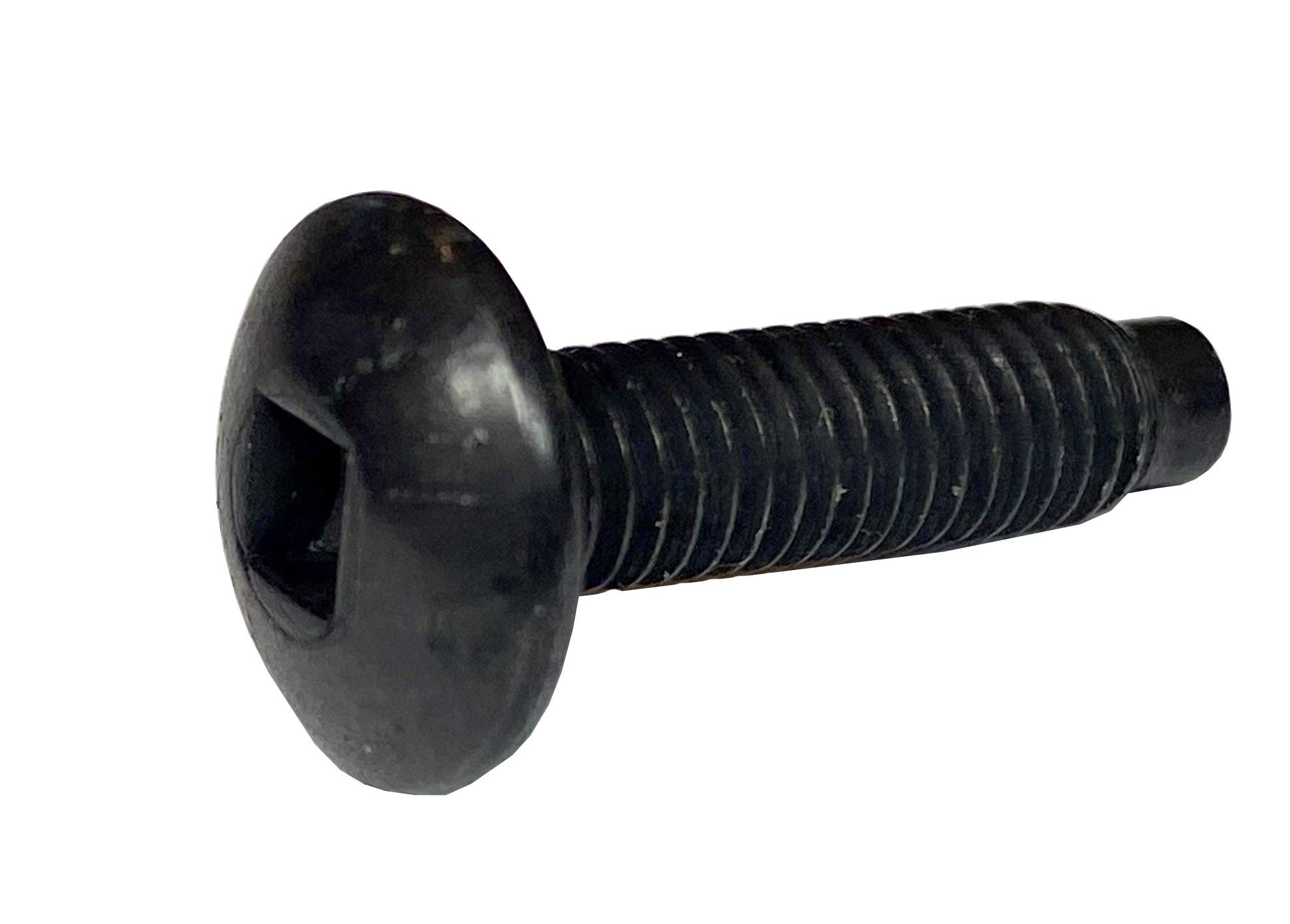 RackGold® 10-32 Square Drive Rack Screws (500 Pack) USA Made
