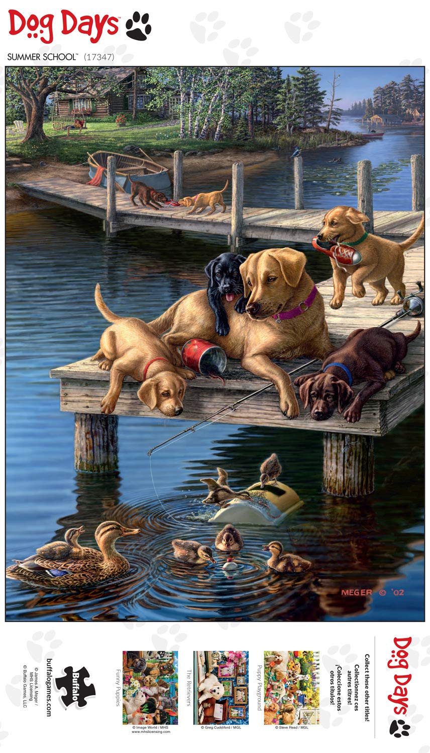 Buffalo Games - James A. Meger - Summer School - 750 Piece Jigsaw Puzzle for Adults -Challenging Puzzle Perfect for Game Nights - Finished Size is 24.00 x 18.00