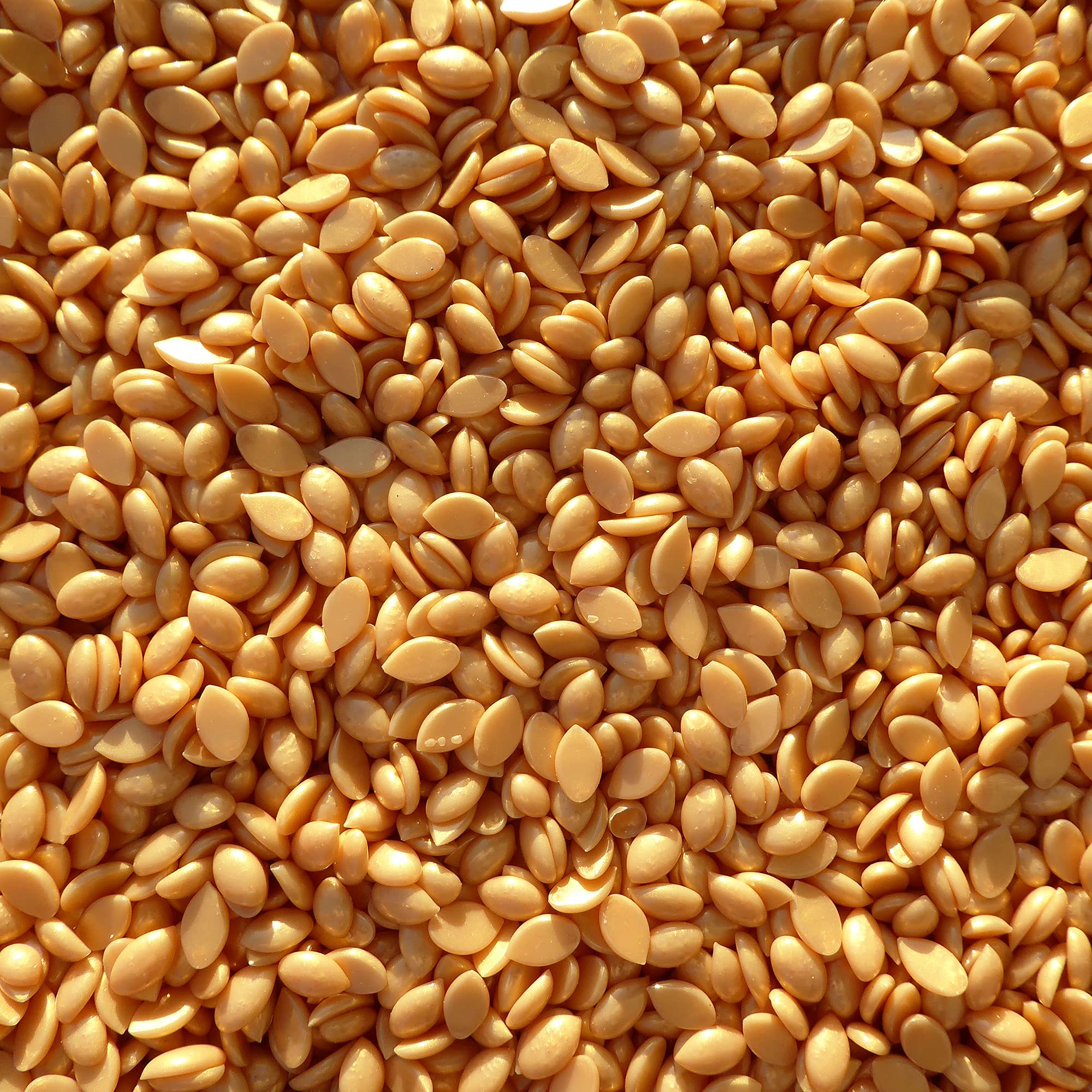 Waxness Premium Gold Rush Hard Wax 1.65 lb / 750 g