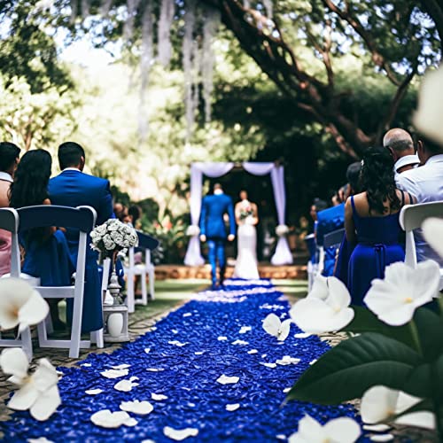 Aldeepo 1000 Pcs Artificial Rose Petals for Romantic Night, Fake Rose Flower Petals for Wedding, Party, Valentines Day Decorations for The Home (Blue)