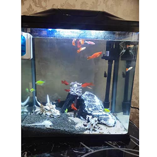 AzjioLi Aquarium and Fish-Tank Decorations Reptile-Hide Terrarium-Décor - Dragon Imitation Skull Model(Medium)