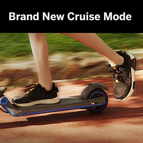 Segway Ninebot eKickScooter ZING E10 Electric Kick Scooter for Kids and Teens, Lightweight and Foldable, New Cruise Mode, Dark Grey