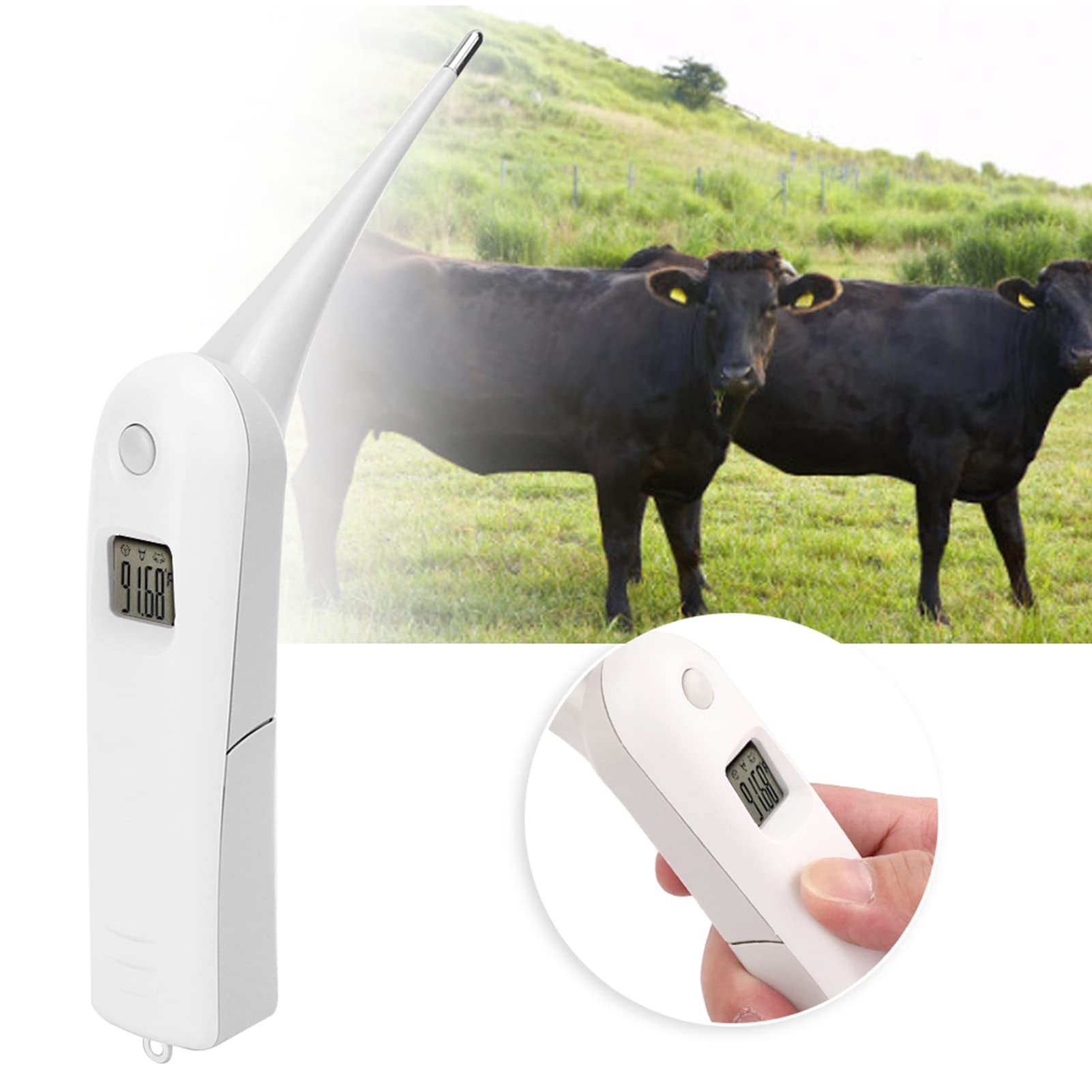 Animal Electronic Ehermometer Pet Thermometer Digital,Veterinary Electronic Thermometer Animal Anus Thermometer for Dogs,Horse, Cats, Pigs,Sheep Livestock