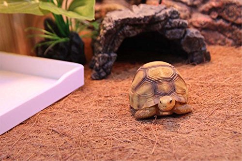 Hamiledyi 2Pcs Reptile Carpet Natural Coconut Fiber Carpet Mat for Pet Terrarium Liner Reptile Supplies for Lizard Snake Chamelon Turtle Bedding Bunny Rabbit Mat