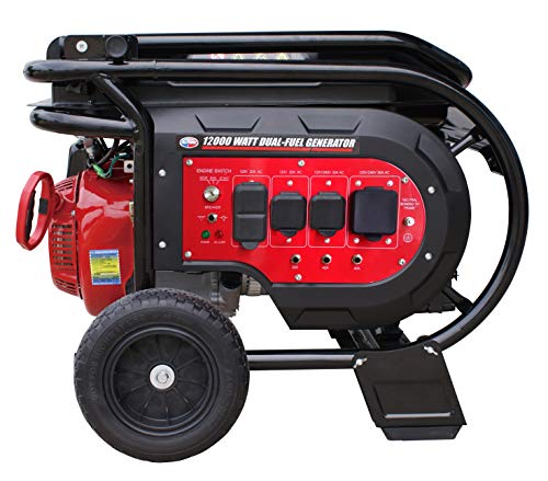 All Power G10000EGL - 10,000 Watt Starting Power Generator Dual Fuel JD Engine Electric Start Portable Generator Relaunched Style