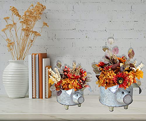 ShabbyDecor Galvanized Metal Pig Bowl Farmhouse Pig Succulent Planter Set of 2