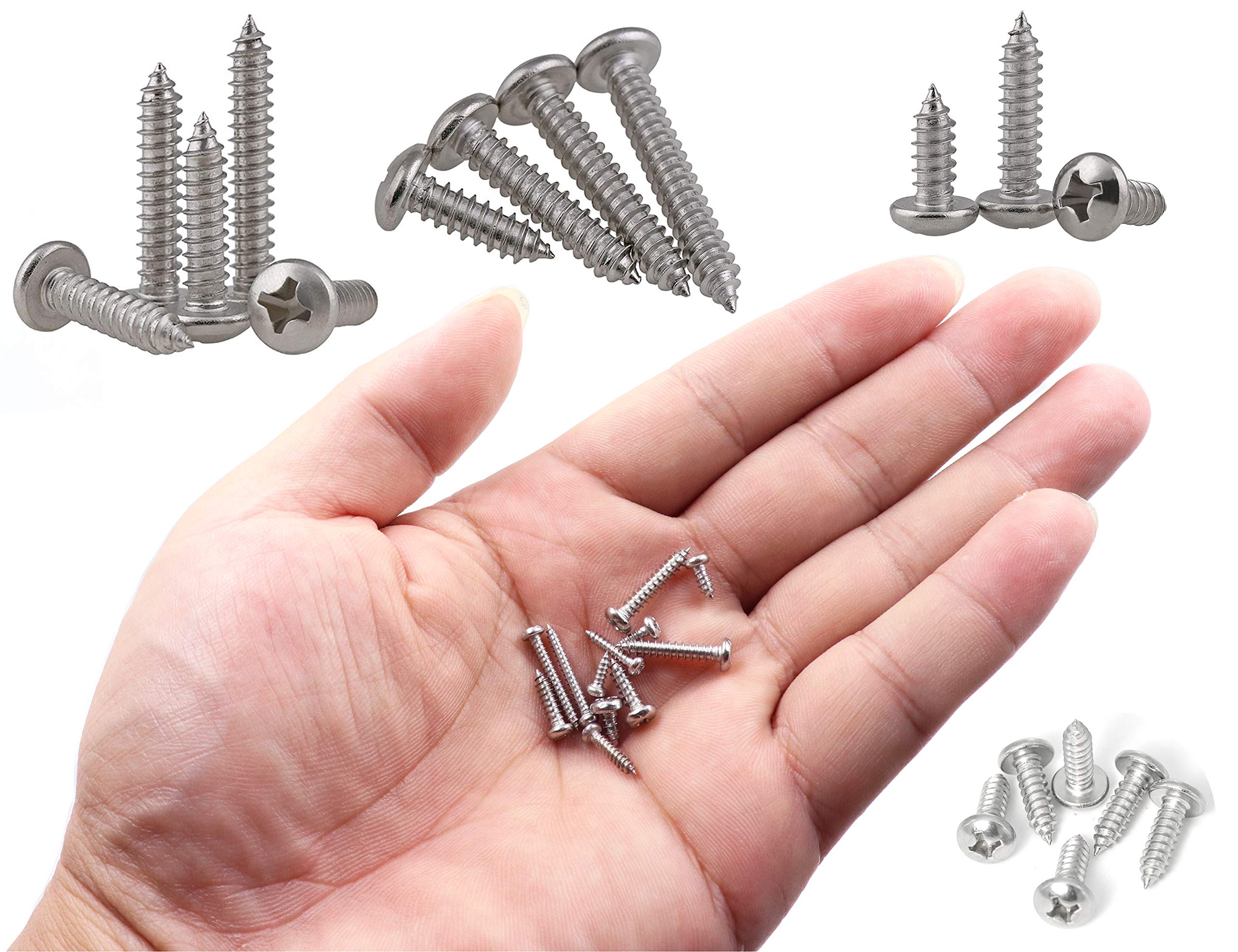 LBY 600pcs M2 M2.2 M2.6 M3 Pan Head Self-Tapping Sheetmetal Screw Assortment Kit, 12 Sizes, 304 Stainless Steel