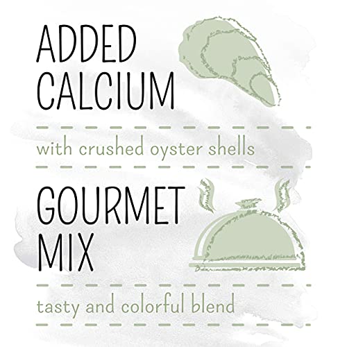 Witte Molen Pure Parakeet Gourmet Seed Mixture and Treat Sticks for Parakeet (Pure Parakeet Gourmet Seed Mixture)