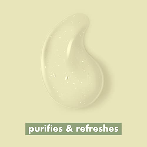 Love Beauty and Planet Radical Refresher 100% Biodegradable Shampoo Detoxifying & Purifying Tea Tree Oil & Eucalyptus Vegan Shampoo 0% Sulfates, Silicones, Parabens, and Dyes 13.5 oz