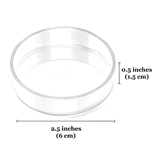 JOR Shrimp, Frog & Gecko Feed Bowl, 2.5-Inches Wide, 0.5, Inches Depth, Tough Borosilicate Glass, Heavy-Duty, Transparent Basin, 1 pc per Pack