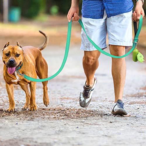 Joytale Double-Sided Reflective Dog Leash, 6 FT/5 FT/4 FT, Padded Handle Nylon Dogs Leashes for Medium & Large Dogs Walking, Teal, 6FT