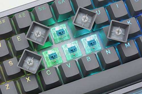 DROP ALT High-Profile Mechanical Keyboard — 65% (67 Key) Gaming Keyboard, Hot-Swap Switches, Programmable Macros, Backlit RGB LED, USB-C, Doubleshot PBT, Aluminum Frame (Kaihua Speed Silver, Gray)