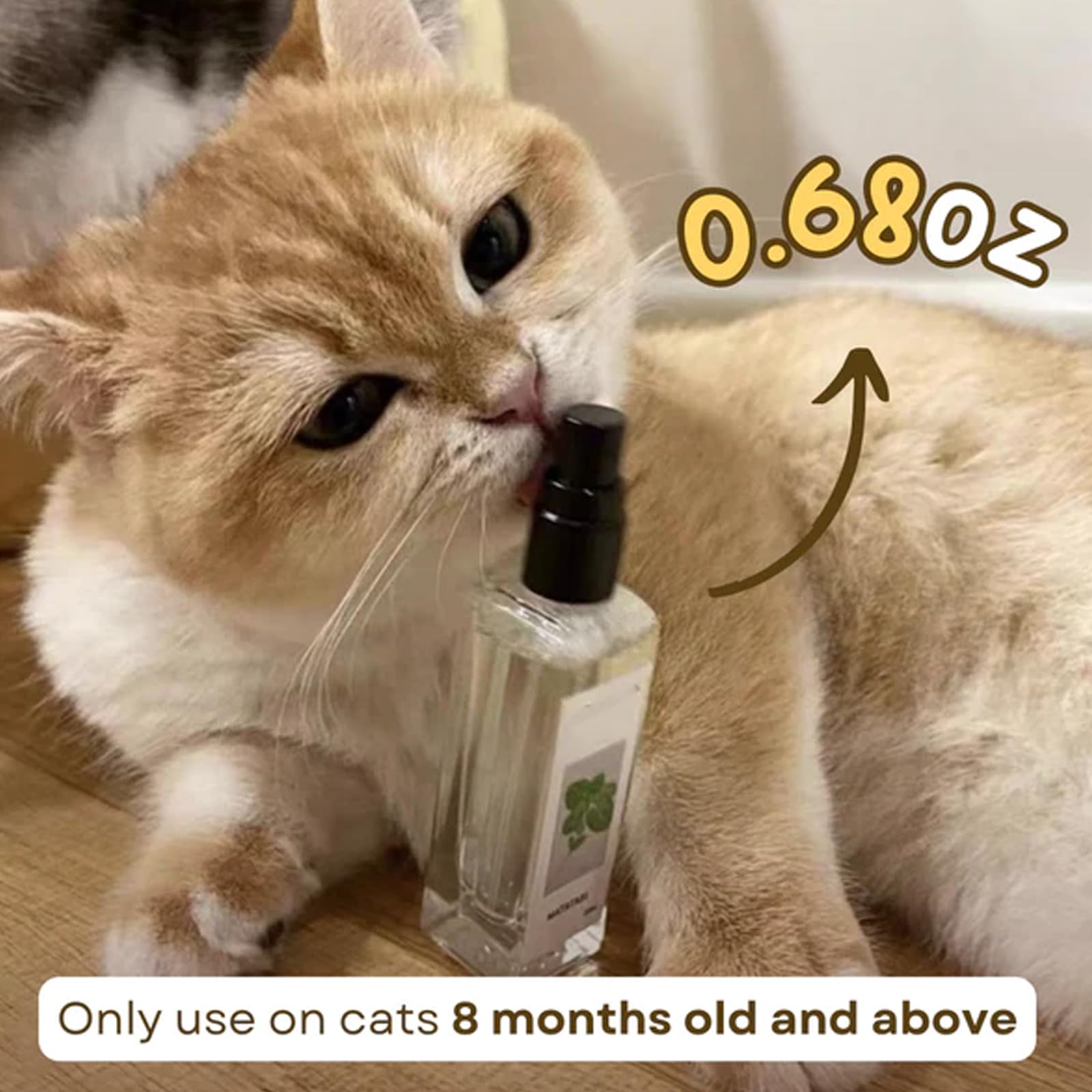 Kitty Joy Herbal Cat Joy, Cat Cupid Spray, Cuddles and Meow Cat Cupid Spray, Cat Cupid Spray Joy Cat, Celery Pets Herbal Cat Joy, Indoor Cat Training Spray with Catnip, Anti Scratch Cat Spray (3PCS)