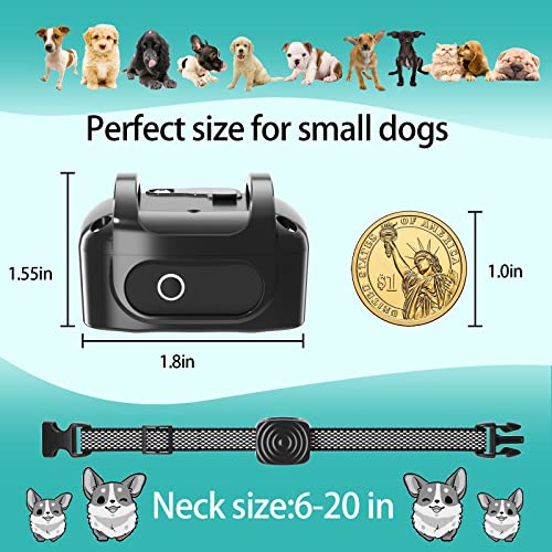 Bark Collar for Small Dogs 5-15lbs Small Dog Bark Collar No Shock Bark Collar Rechargeable Anti Bark Collar Shockless with Adjustable Sensitivity and Intensity Beep Bark Collar for Small Medium Dogs