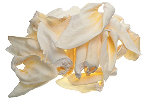 Brazilian Pet 100% Natural - Over 6 inches- Real Cow Ears (50 Pack) Prime Dog Chews, Free Range Grass Fed Cattle