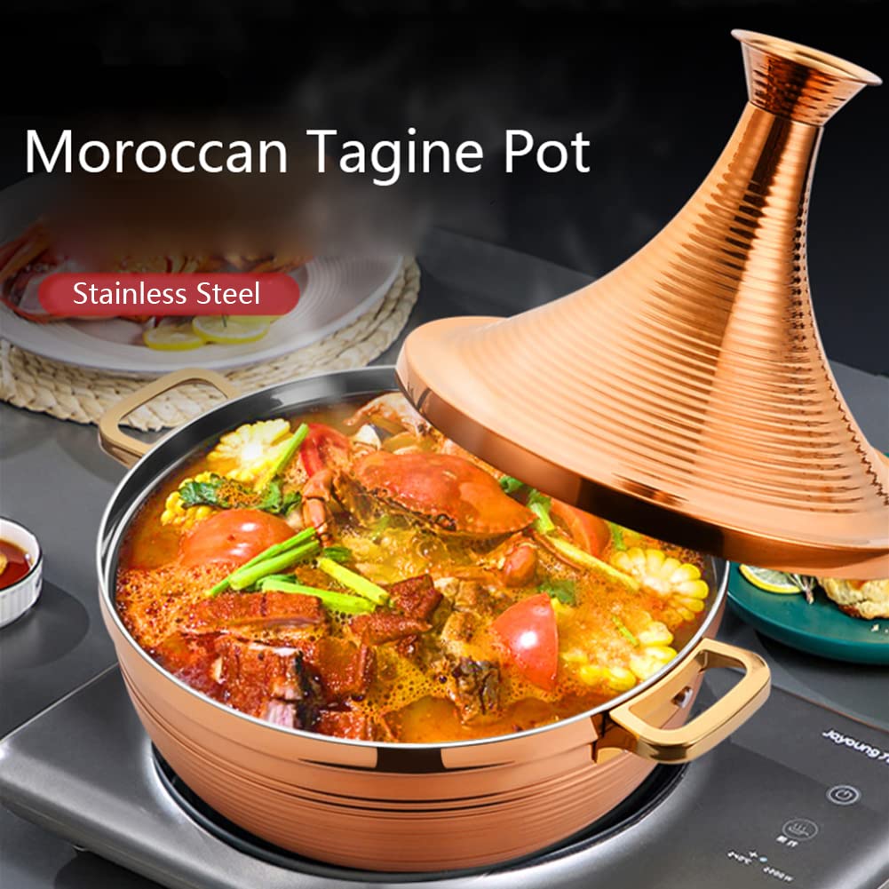 22cm Stainless Steel Tagine Pot Moroccan Tajine Cooking Cookware with Cone-Shaped Closed Lid for Stew Casserole Slow Cooker, 1-2 People Use